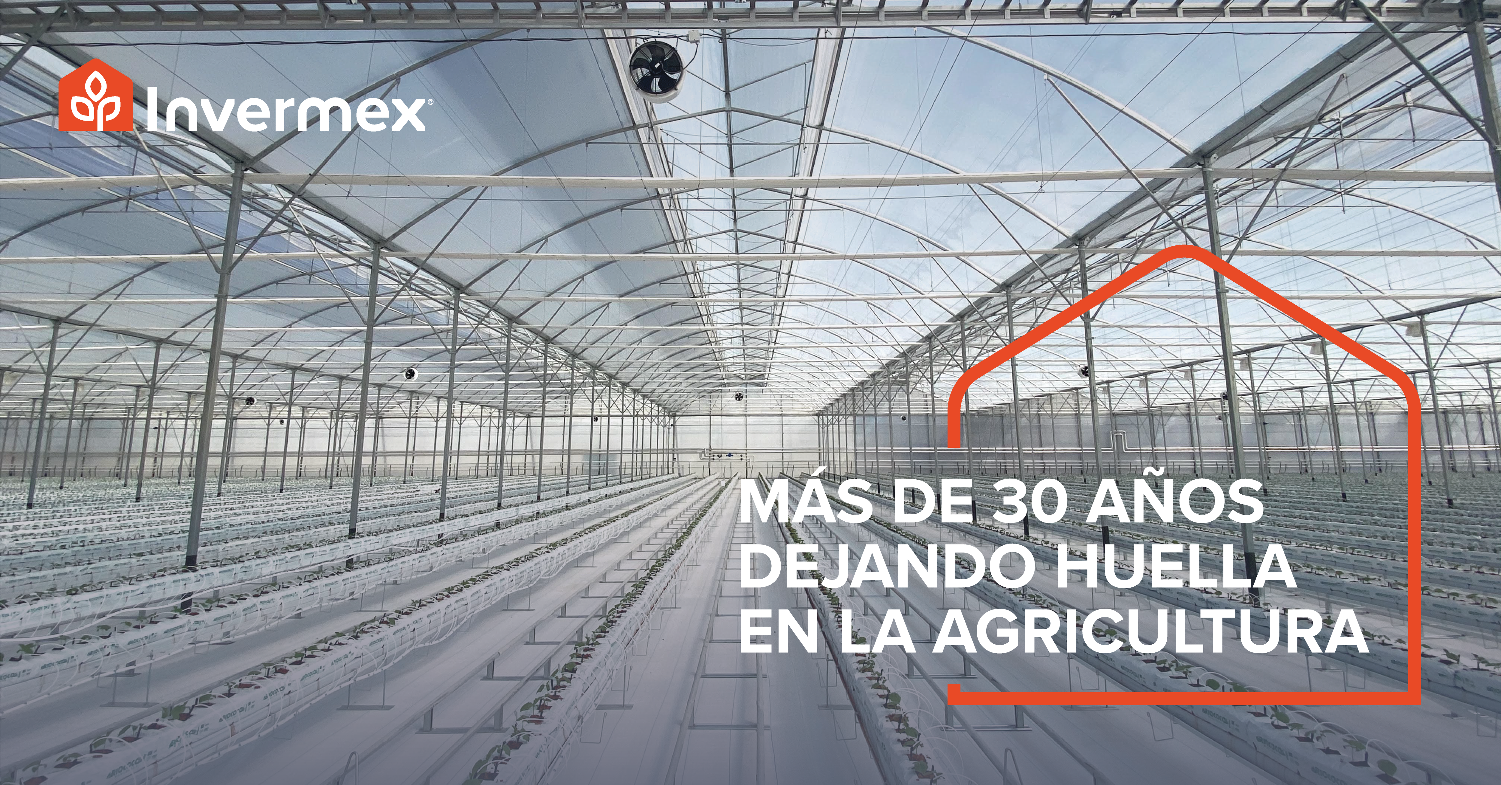 Invermex – Página web Invermex